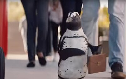 Modern Services | CIBC